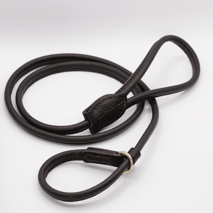 Leather Dog Leads Handmade in England – Dogs and Horses